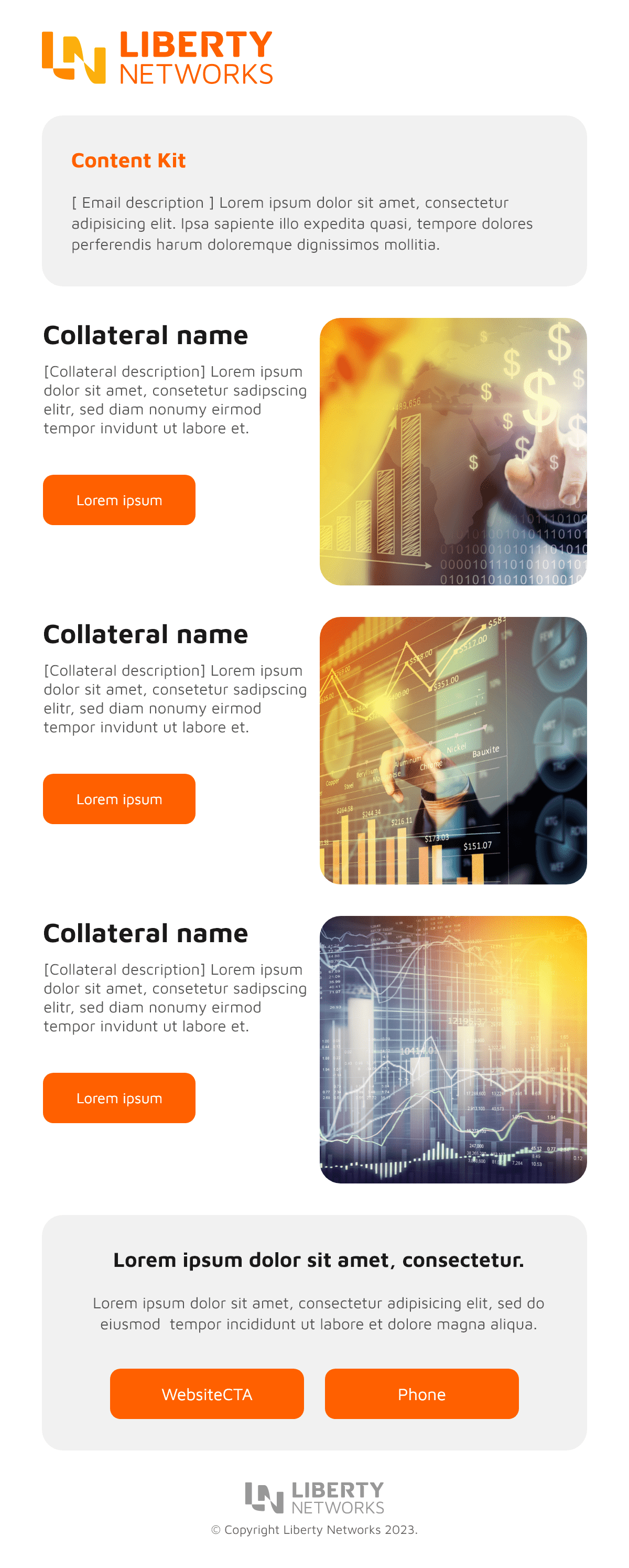 Newsletter Campaign | Launch kit | Liberty Networks